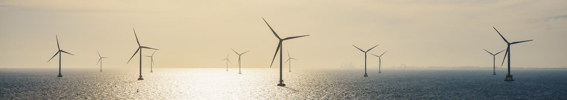 Contact Us | BlueWind